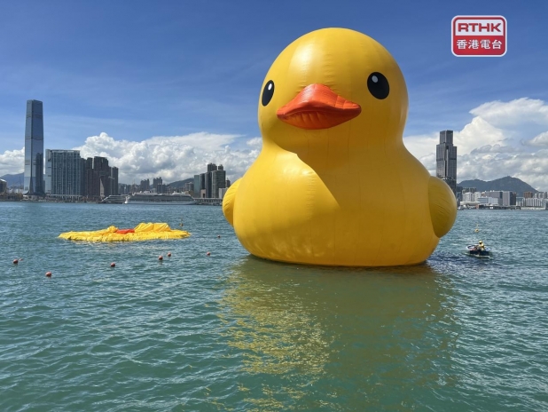 Heat stroke hits one of HK's giant ducks - RTHK