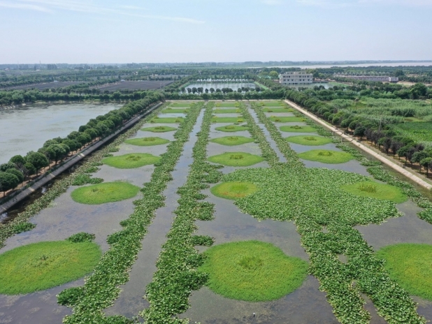 國家防總15次啟動調整應急響應 防汛抗旱形勢平穩 - RTHK