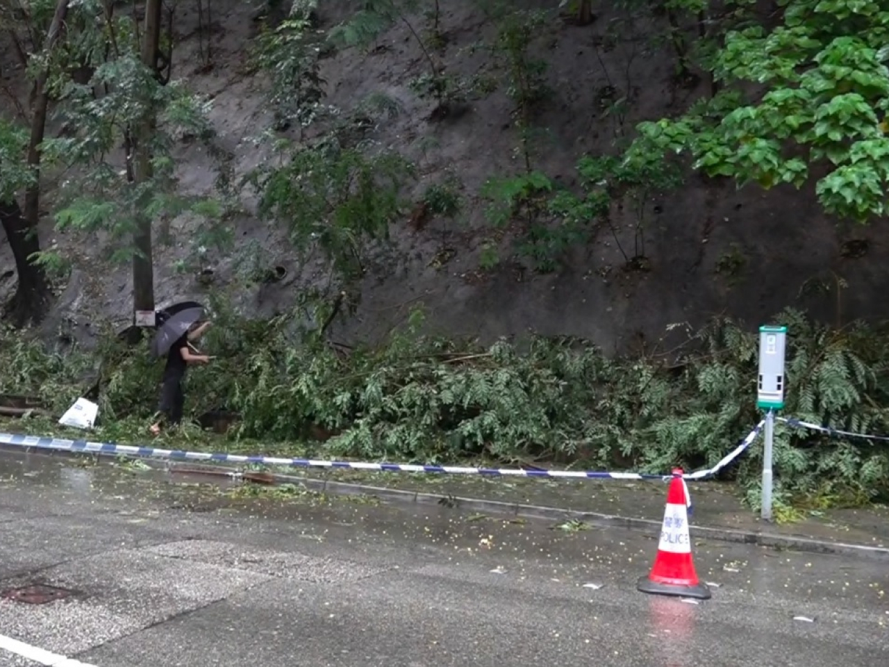 Higher typhoon signal may be needed, says Observatory - RTHK