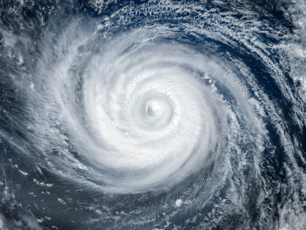 Milk tea, dim sum and HK pandas in typhoon name race - RTHK