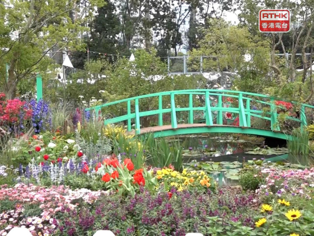 康文署預計花卉展明晚結束後向市民派發約3000盆花 - RTHK