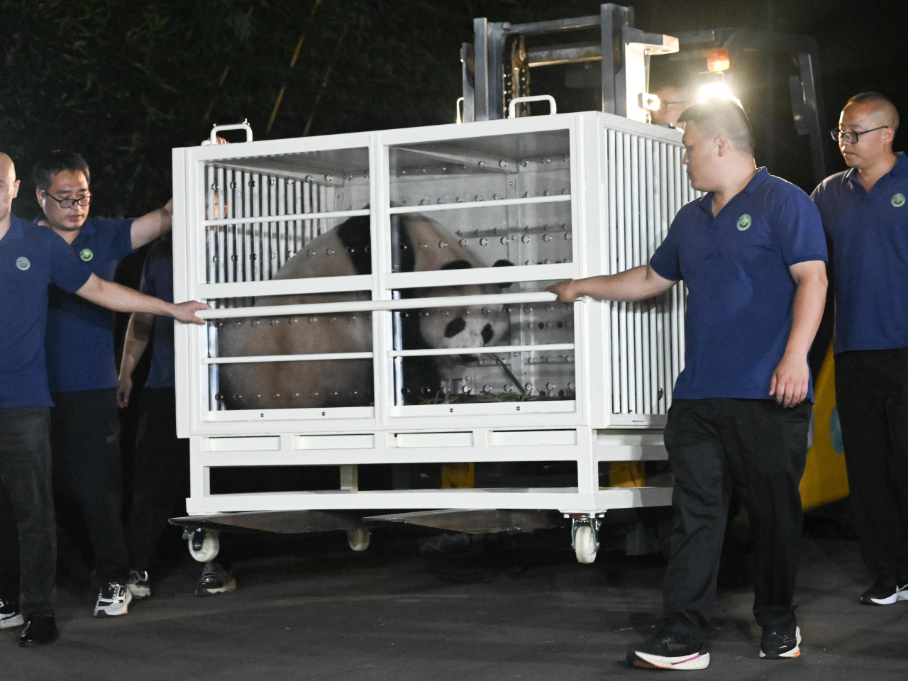 Pandas gifted by Beijing set off for Hong Kong - RTHK
