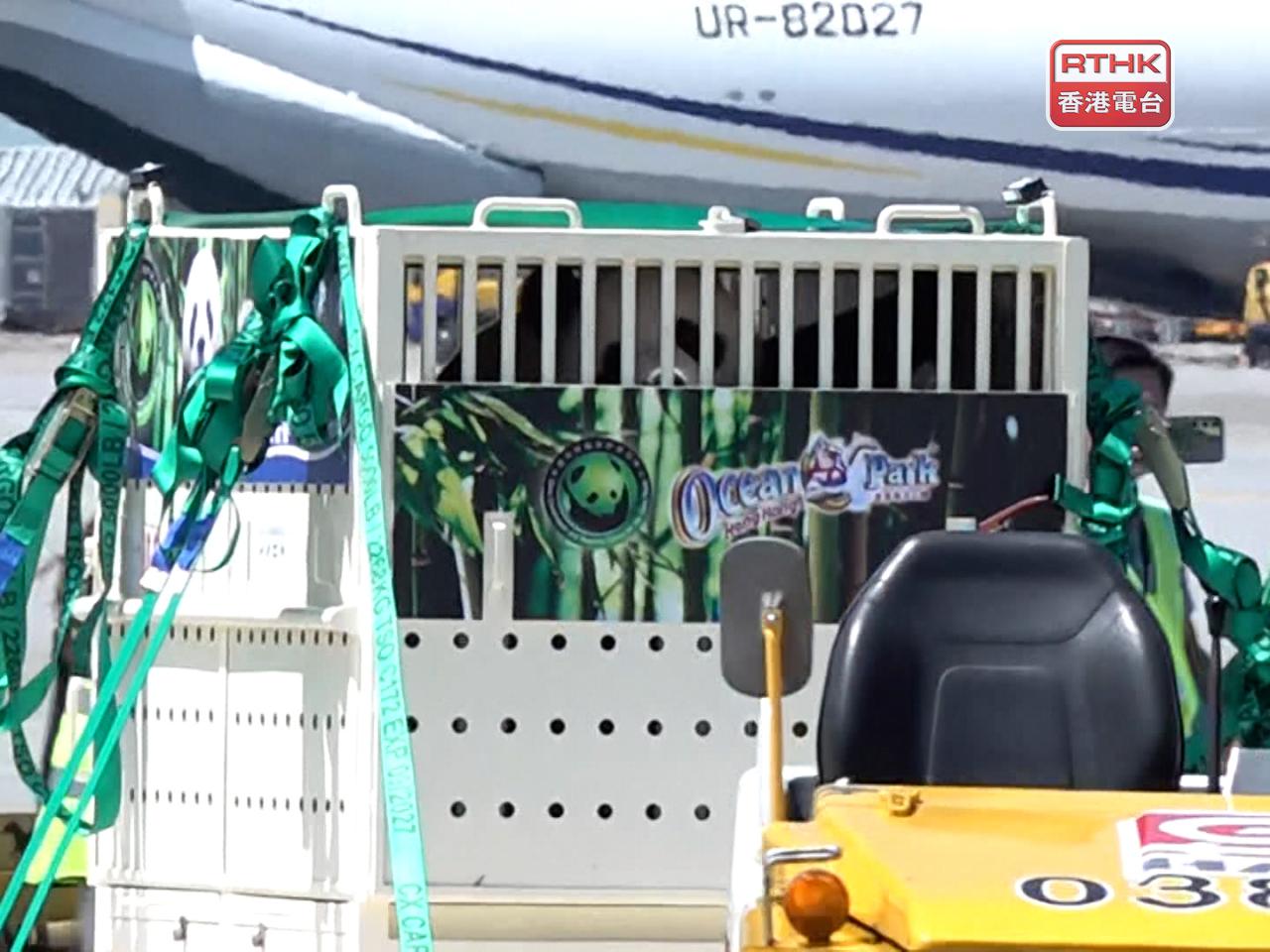 Giant pandas from Chengdu arrive in Hong Kong - RTHK
