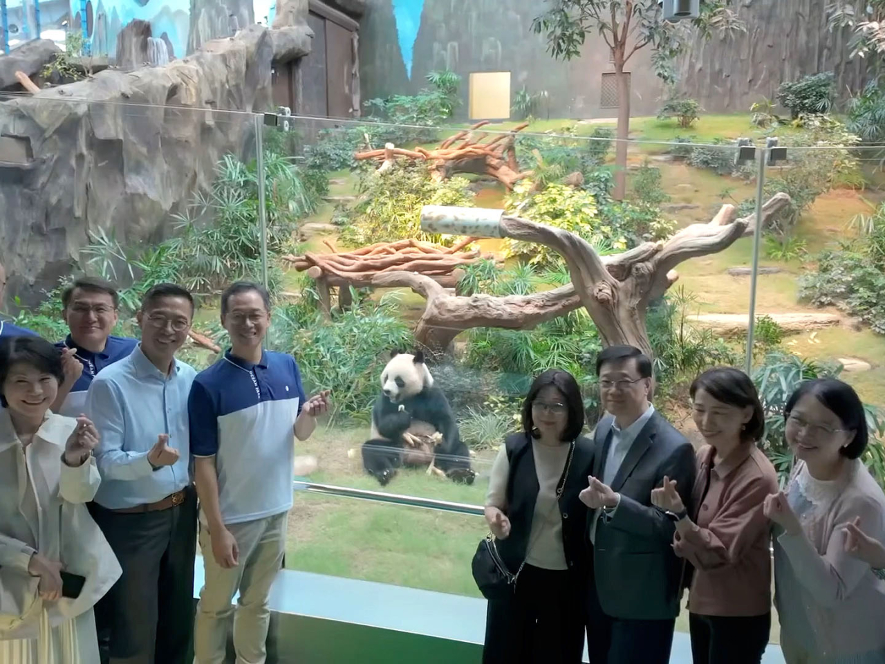 Pandas gifted by Beijing to make public debut on Dec 8 - RTHK