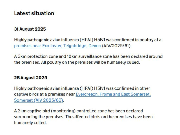 英國西南部一個養殖場爆發H5N1禽流感 - RTHK
