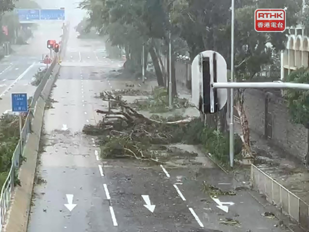 當局接270宗塌樹及12宗水浸報告 33人風暴期間受傷 - RTHK