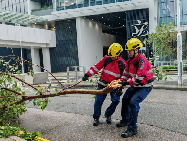 截至下午5時 近900宗塌樹及4宗山泥傾瀉報告 - RTHK