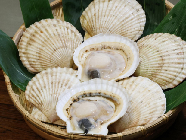 Japan back on course with seafood exports to China - RTHK