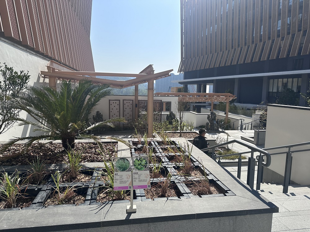 'Chinese Medicines Testing Institute boosts GBA ties' - RTHK